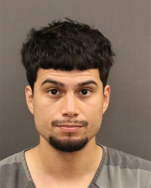 Hall County Department of Corrections - Current Inmate List