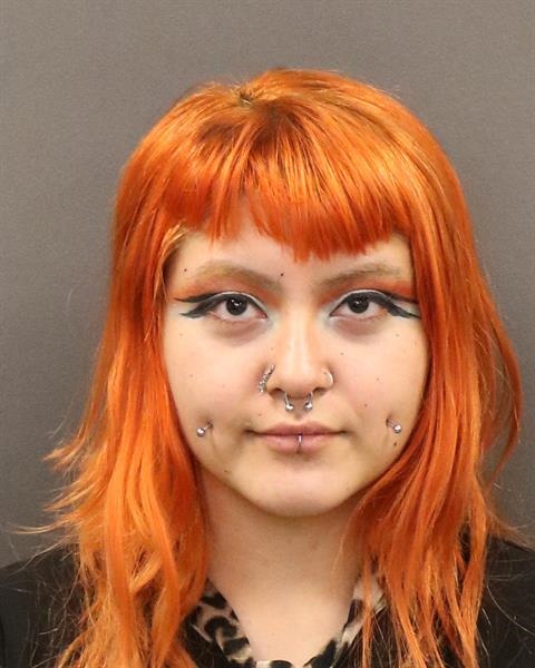 Hall County Department of Corrections - Current Inmate List