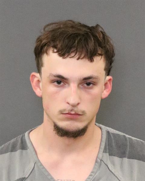 Hall County Department of Corrections - Released Inmate List