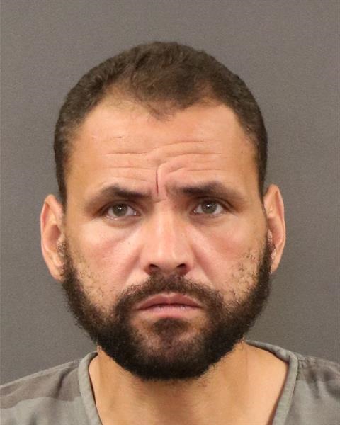 Hall County Department of Corrections - Current Inmate List