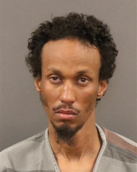 Hall County Department of Corrections - Current Inmate List