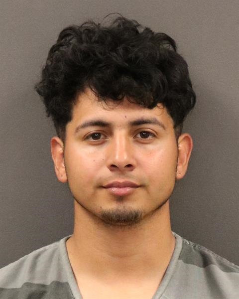 Hall County Department of Corrections - Current Inmate List