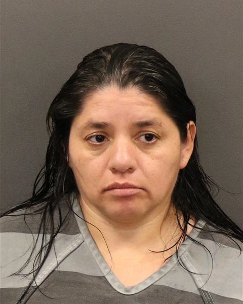 Hall County Department of Corrections - Current Inmate List