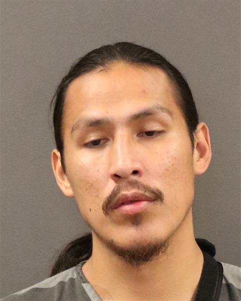 Hall County Department of Corrections - Current Inmate List