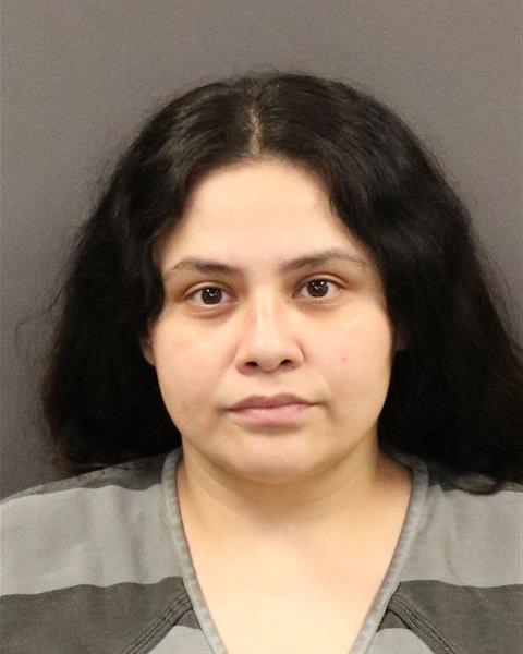 Hall County Department of Corrections - Current Inmate List