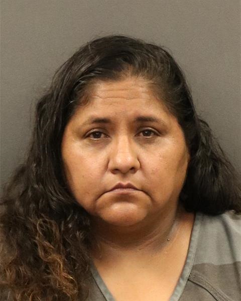 Hall County Department of Corrections - Current Inmate List