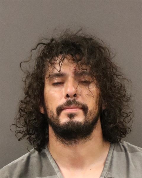 Hall County Department of Corrections - Current Inmate List